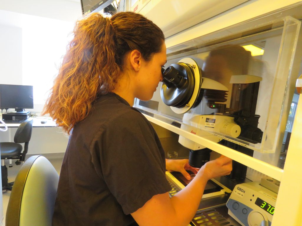 Fertility Centre moves to new state-of-the-art home – SaTH