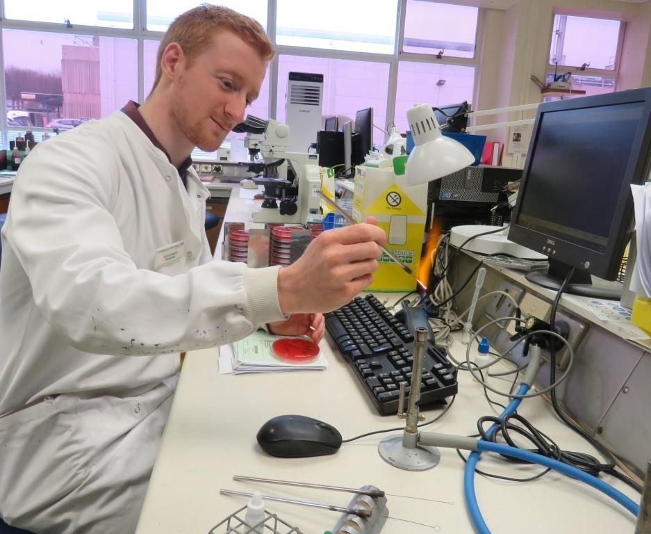 Celebrating the work of our healthcare scientists – SaTH