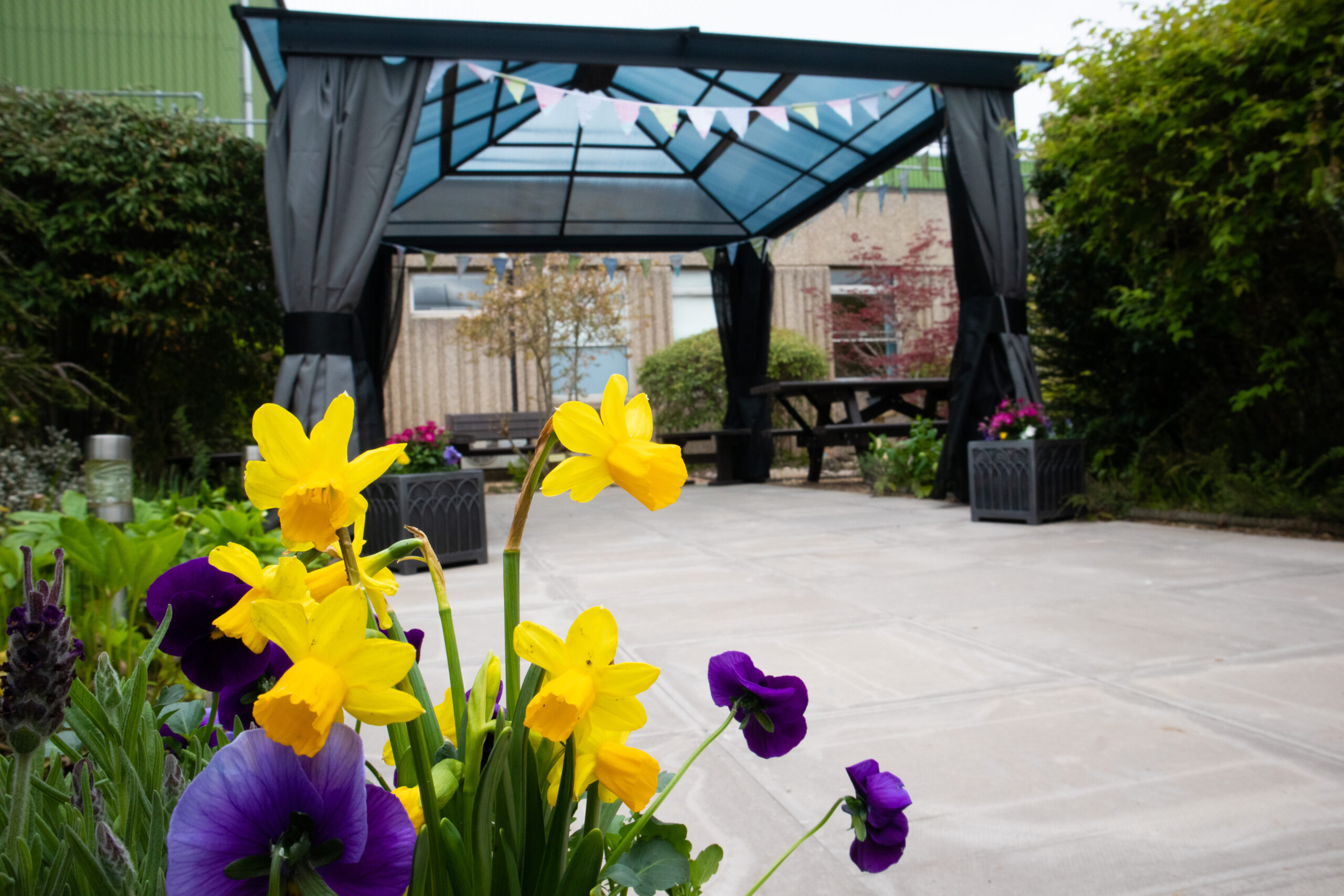 Critical Care Garden reopens at hospital thanks to family’s donations ...