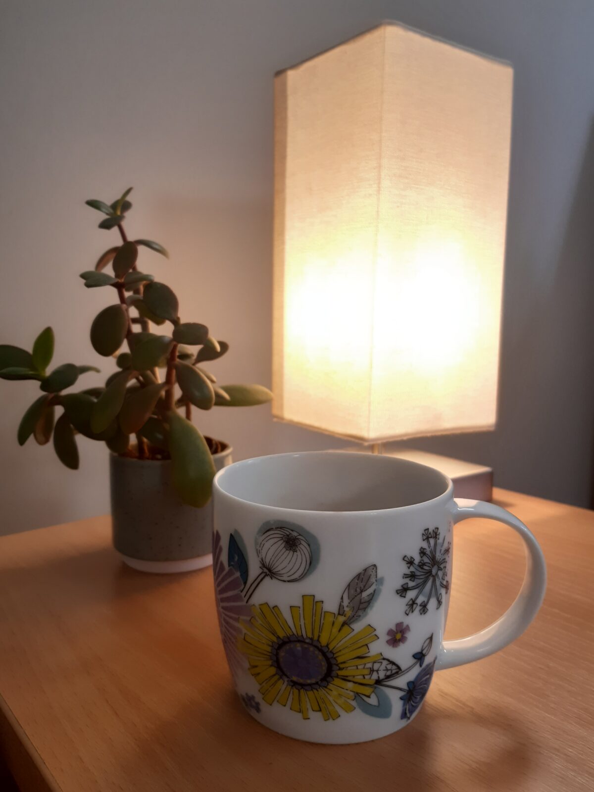 The Hamar Centre – SaTH